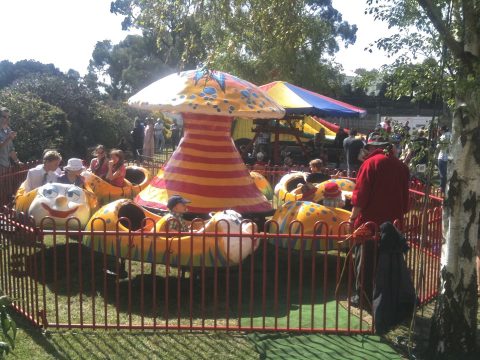 Lady Bugs - Wittingslow Amusements