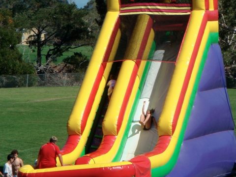 Ninja Slide - Wittingslow Amusements